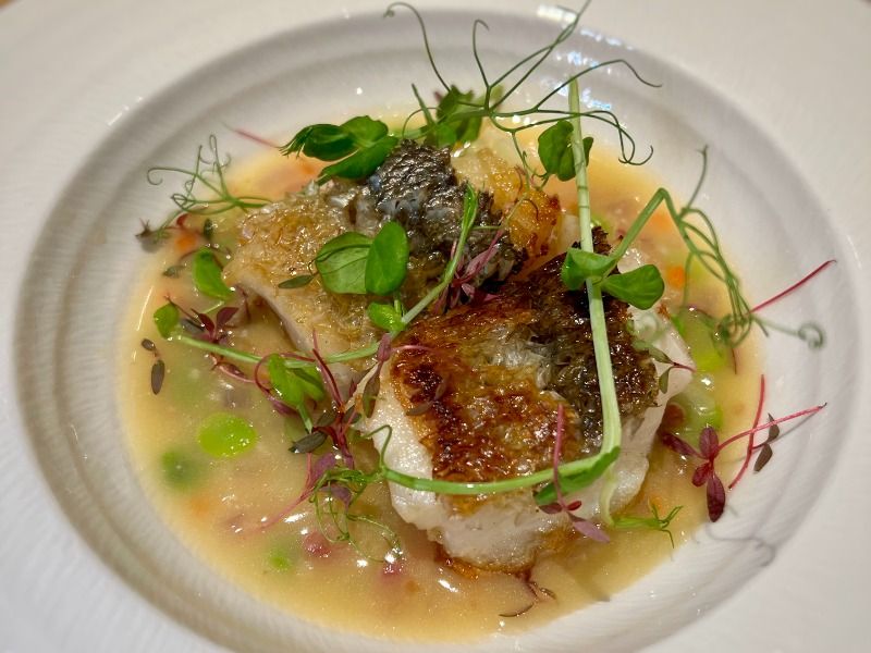 Forma Review - The Dining Advisor