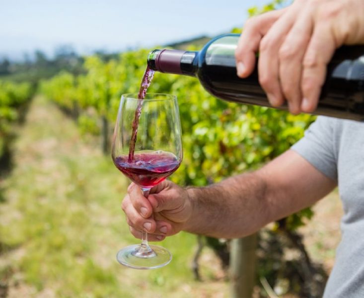 Know Your Red Wine - The Dining Advisor